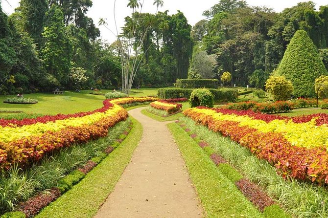 Kandy City Tour with Mahaweli - Why Travelers Love This Tour