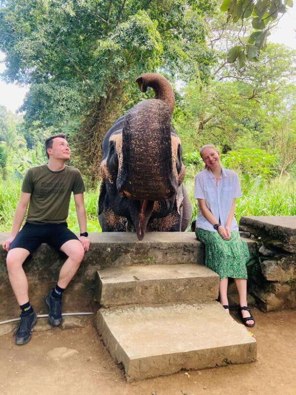 Kandy City Tour with Pinnawala Tuk Tuk Ride - What the Reviews Say