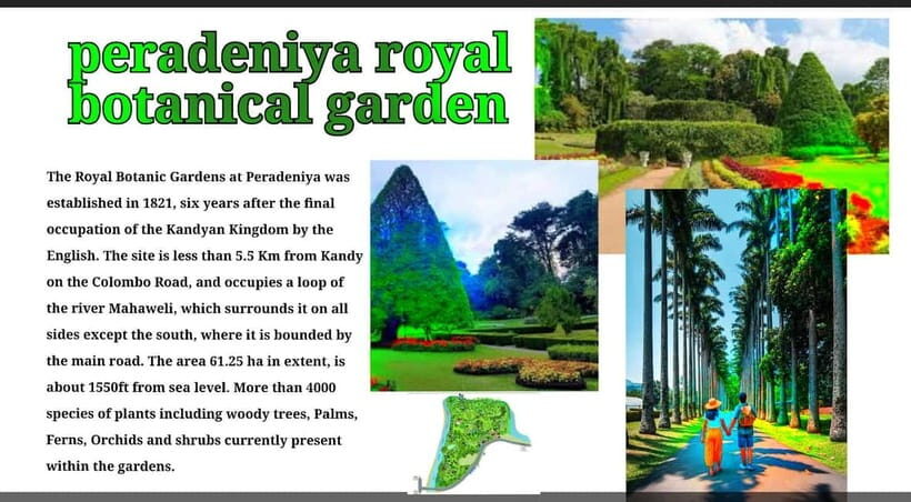 Kandy: City Tour with Temple of the Tooth & Tea Garden - Exploring the Heart of Kandy: A Deep Dive