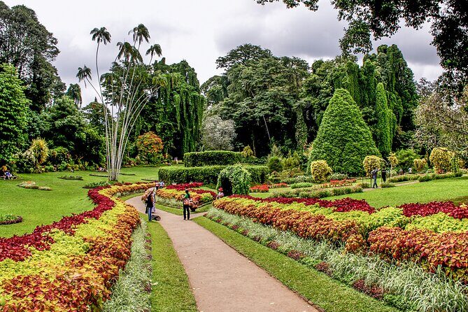 Kandy City Tuk Tuk Safari - Who Will Love This Tour?