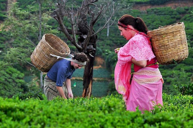 Kandy Day Tour - An In-Depth Look at the Kandy Day Tour