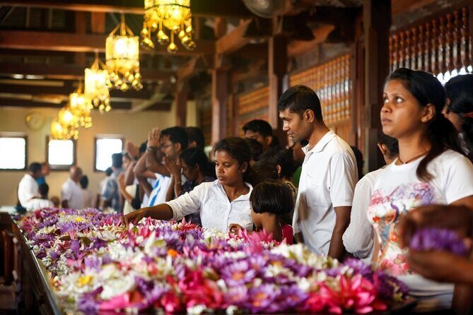 Kandy Day Tour from Bentota - Exploring the Highlights: What Makes This Tour Special