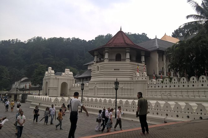 Kandy Day Tour From Colombo - Who Should Consider This Tour?