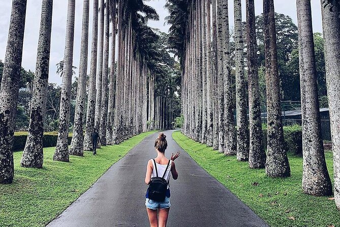 Kandy Day Tour From Colombo - Authentic Experiences and Honest Feedback