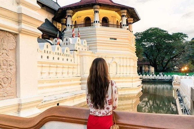 Kandy Day Tour From Colombo - The Sum Up: Who Will Appreciate This Tour?