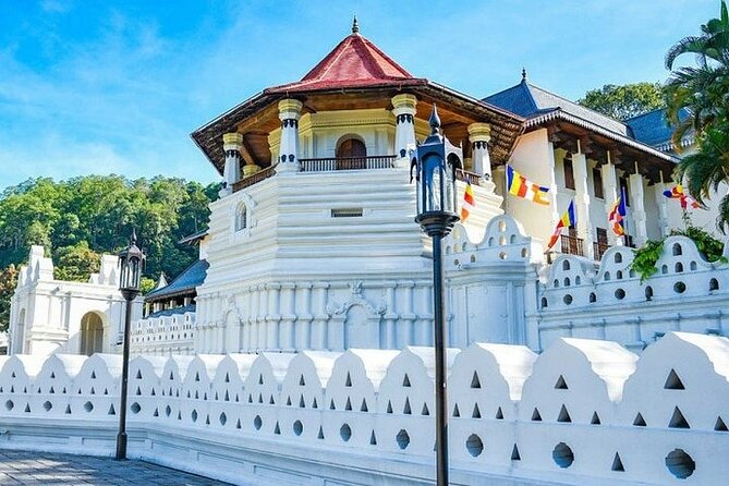 Kandy Day trip from Kalutara Beruwala Bentota Aluthgama Wadduwa - What’s Included and What’s Not