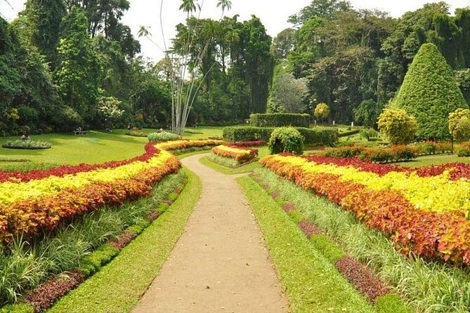 Kandy Day trip from Kalutara Beruwala Bentota Aluthgama Wadduwa - Who Will Enjoy This Tour?