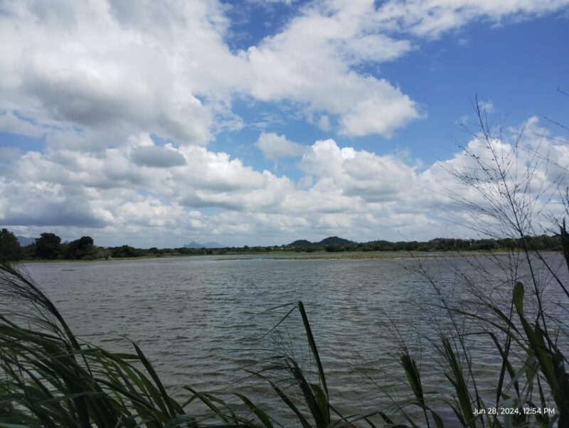 Kandy; Day trip to Sigiriya & Dambulla caves - How This Tour Stacks Up