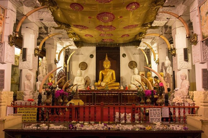 Kandy Day Trip with Tooth Relic Temple & Unique Attractions - Transport and Overall Experience