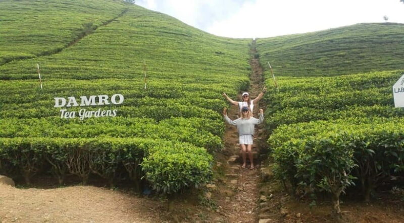 Kandy : From Kandy to Nuwara Eliya Day Tour by Tuk tuk - Practical Tips for the Day