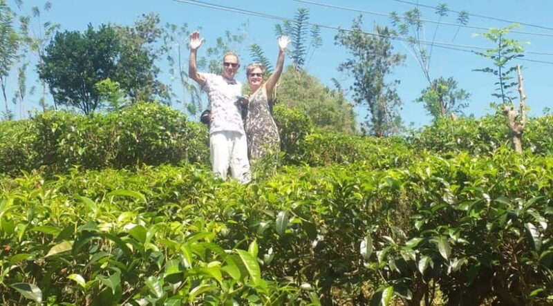 Kandy : From Kandy to Nuwara Eliya Day Tour by Tuk tuk - Who Would Enjoy This Tour?