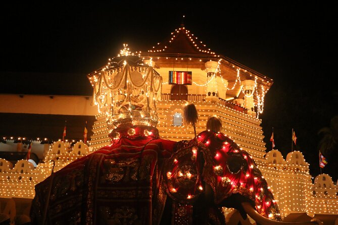 Kandy Full-Day Tour - What Reviewers Say