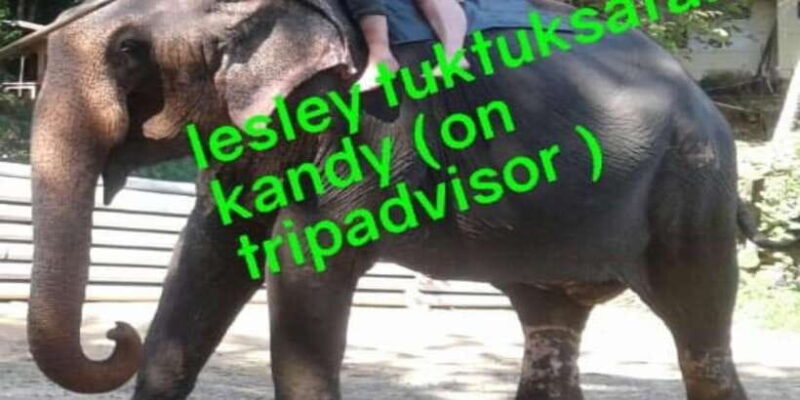 Kandy ; Local Guided City Tour By Lesley - Key Points