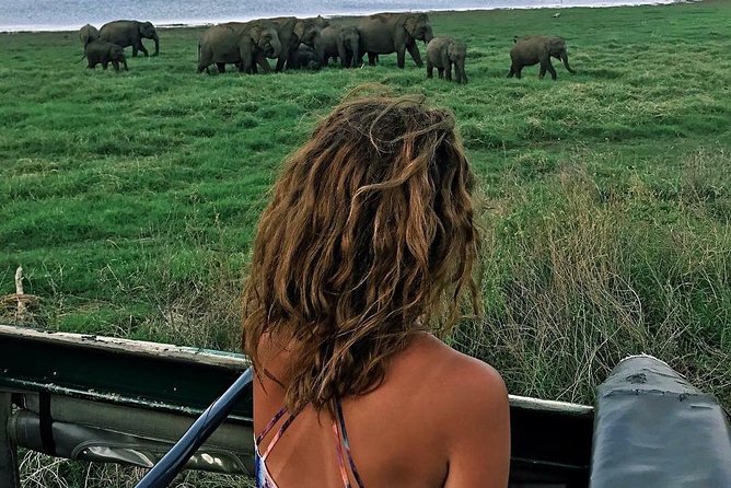 Kandy - Minneriya National park & Sigiriya Rock Fortress (Tours & Entrance fees) - Practical Considerations