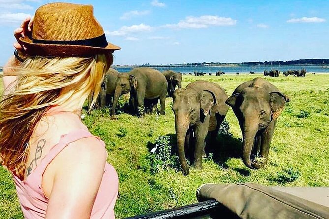 Kandy - Minneriya National park & Sigiriya Rock Fortress (Tours & Entrance fees) - Frequently Asked Questions