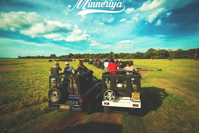 Kandy - Minneriya National park & Sigiriya Rock Fortress (Tours & Entrance fees) - Final Thoughts