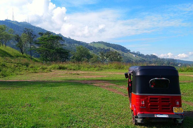 Kandy Nature & Culture Tour - The Royal Botanical Gardens at Peradeniya