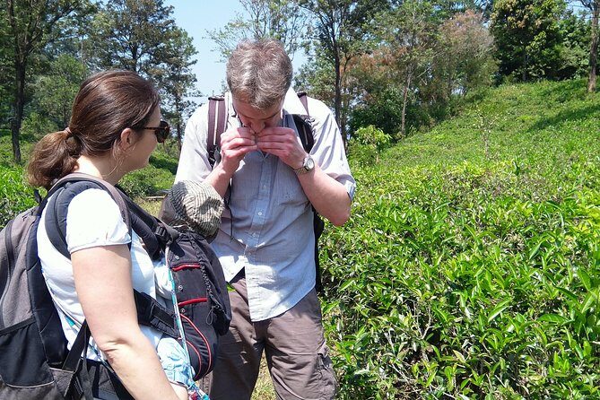 Kandy Nature & Culture Tour - Reflecting at Kandy War Cemetery