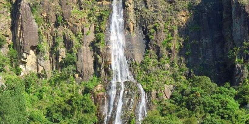 Kandy & Nuwara Eliya: 2-Day Tour! - Who Will Love This Tour?