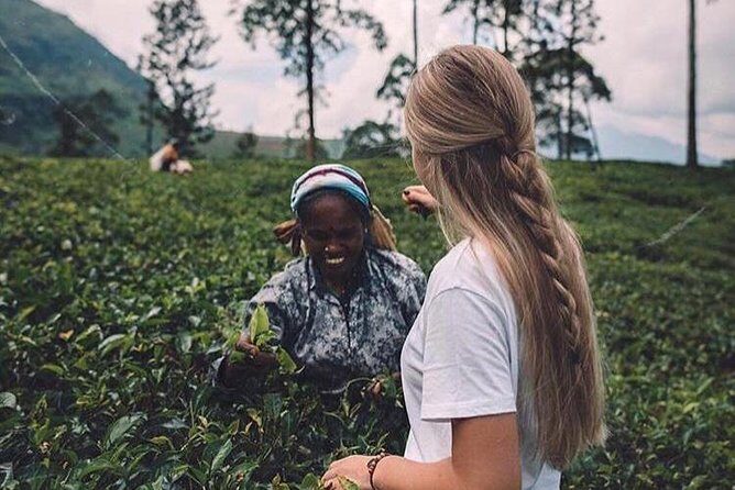 Kandy & Nuwara Eliya | 2 Days Tour - An In-Depth Look at the 2-Day Tour