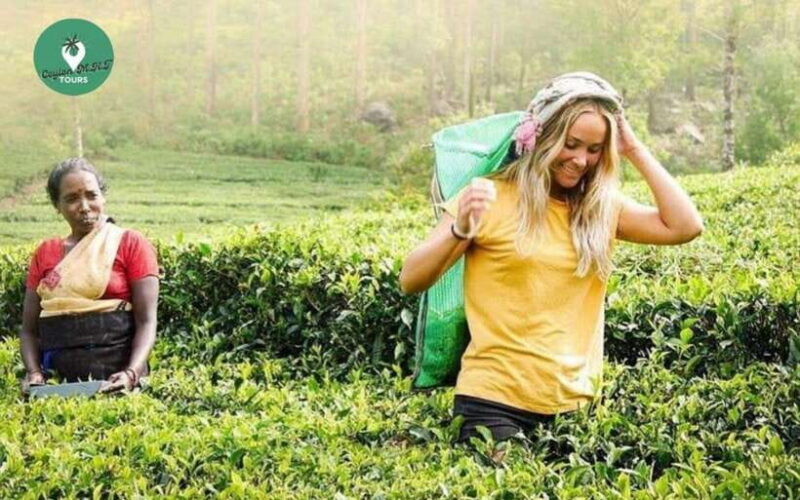 Kandy: Nuwara Eliya Day Explore by Tuk tuk with Local Guide - The Beauty of Ramboda Falls and Single Tree Hills Viewpoint