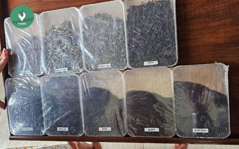 Kandy: Nuwara Eliya Day Explore by Tuk tuk with Local Guide - Tour Cost and Value