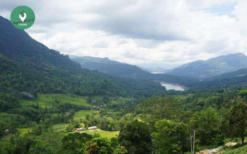 Kandy: Nuwara Eliya Day Explore by Tuk tuk with Local Guide - What We Loved and What to Consider