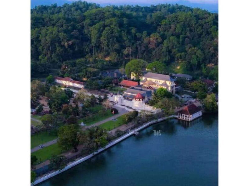 Kandy: Pinnawala Day Tour By Local car (Local Guide) - Who Should Consider This Tour?