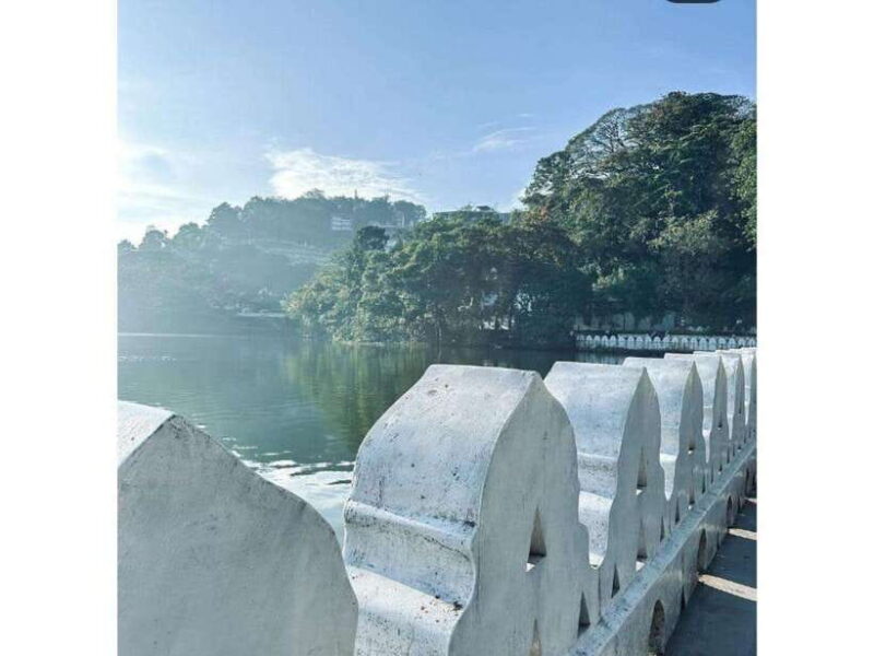 Kandy: Pinnawala Day Tour By Local car (Local Guide) - Final Thoughts