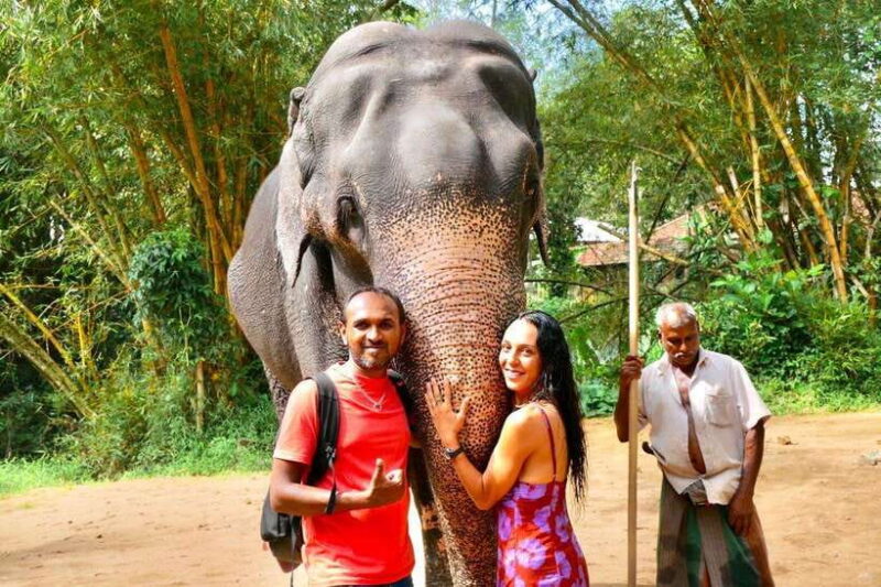 Kandy : Pinnawala Day Tour with Top Rated Local Guide - Who Will Love This Tour?