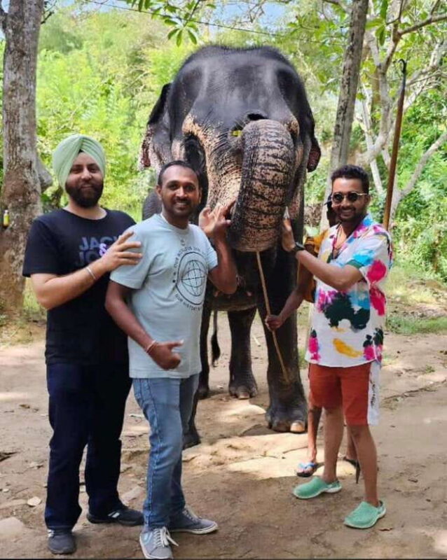 Kandy : Pinnawala Day Tour with Top Rated Local Guide - Final Thoughts