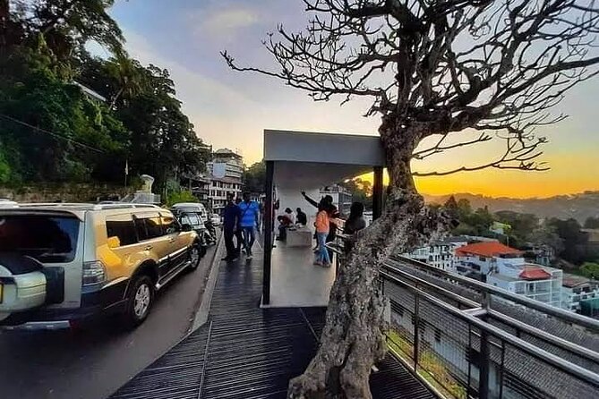 Kandy & Pinnawala Elephant Orphanage Day Trip from Negombo - FAQ