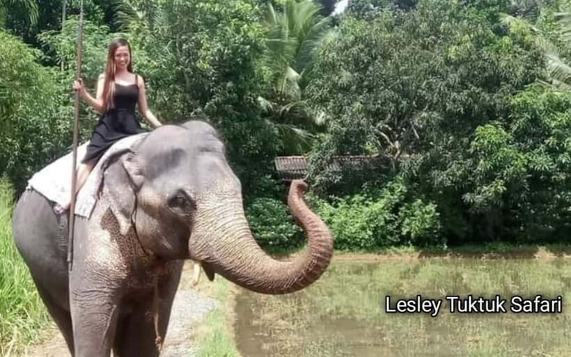 Kandy : Pinnawala Elephant Safari Tour with Kandy City Tour - Key Points
