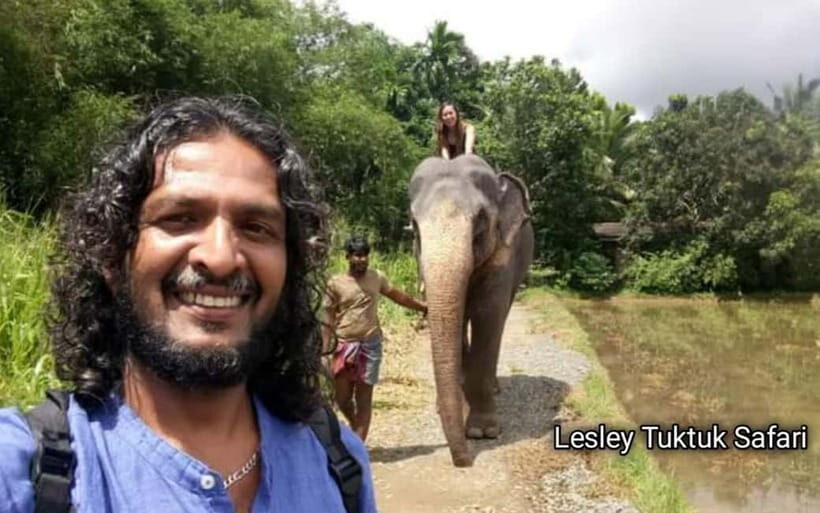 Kandy : Pinnawala Elephant Safari Tour with Kandy City Tour - Starting the Day: Hotel Pickup and Transportation