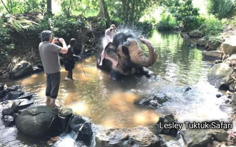 Kandy : Pinnawala Elephant Safari Tour with Kandy City Tour - Midday: Lunch and Rest