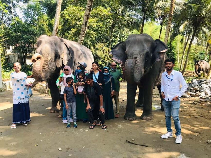 Kandy : Pinnawala Elephant Safari Tour with Kandy City Tour - Scenic Overlooks and Botanical Bliss
