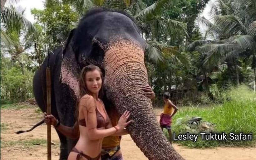 Kandy : Pinnawala Elephant Safari Tour with Kandy City Tour - Expert Guides and Personal Touches