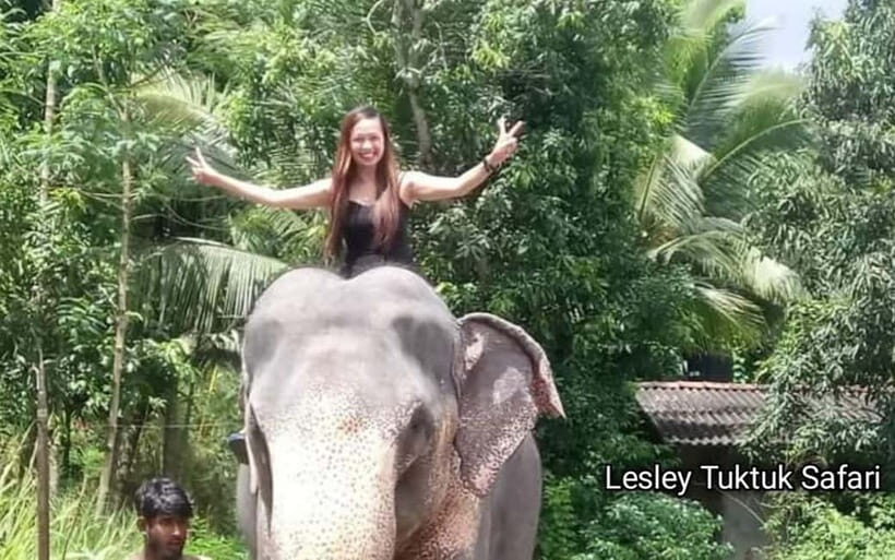 Kandy : Pinnawala Elephant Safari Tour with Kandy City Tour - Practicalities and Cost Analysis