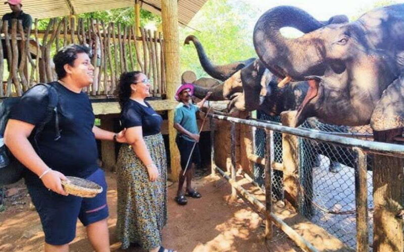 Kandy : Pinnawala Elephant Safari Tour with Kandy City Tour - Final Thoughts