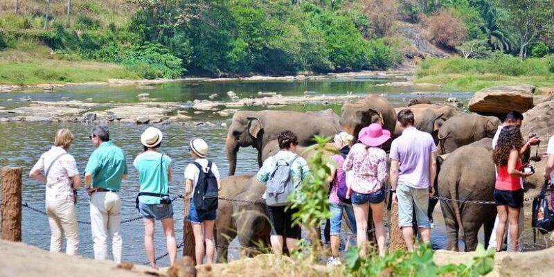 Kandy Pinnawala full day tour from Bentota and Kalutara - Who Will Love This Tour?
