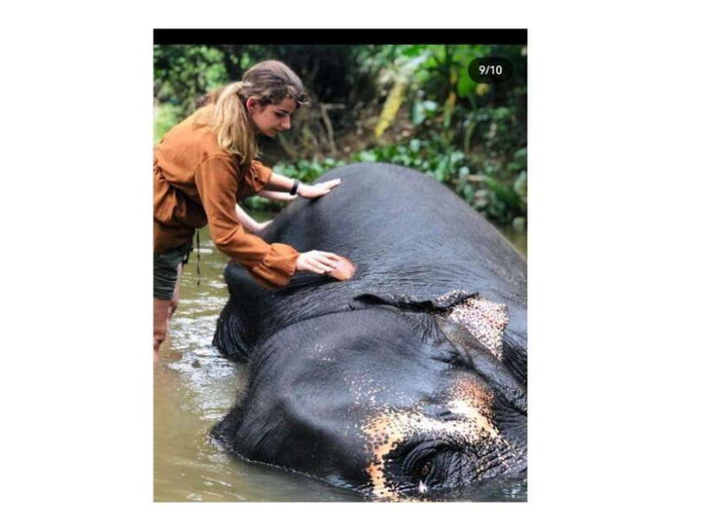 Kandy : Pinnawala Guided City tour - Detailed Itinerary and Why It Matters