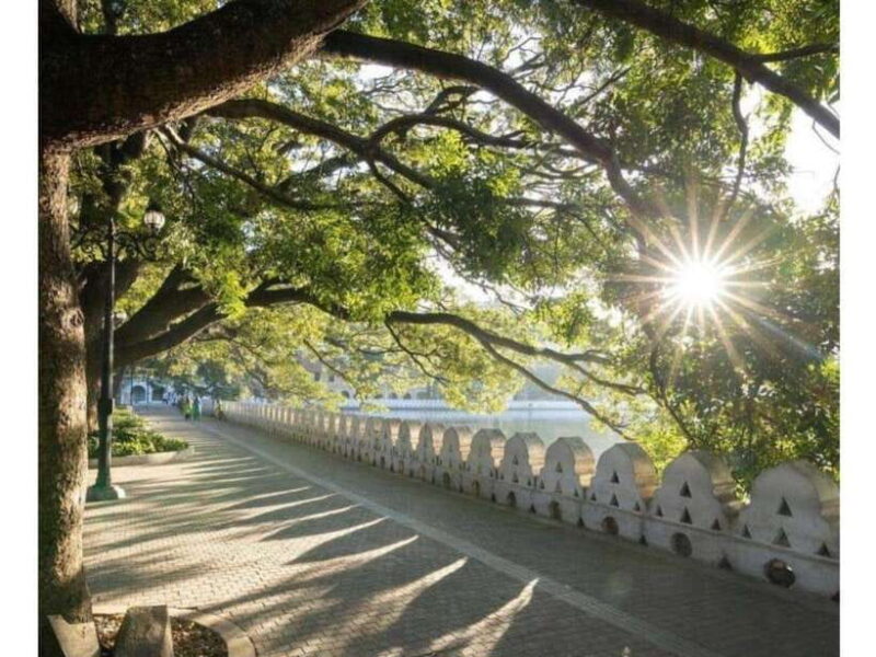 Kandy : Pinnawala Guided City tour - Practical Tips