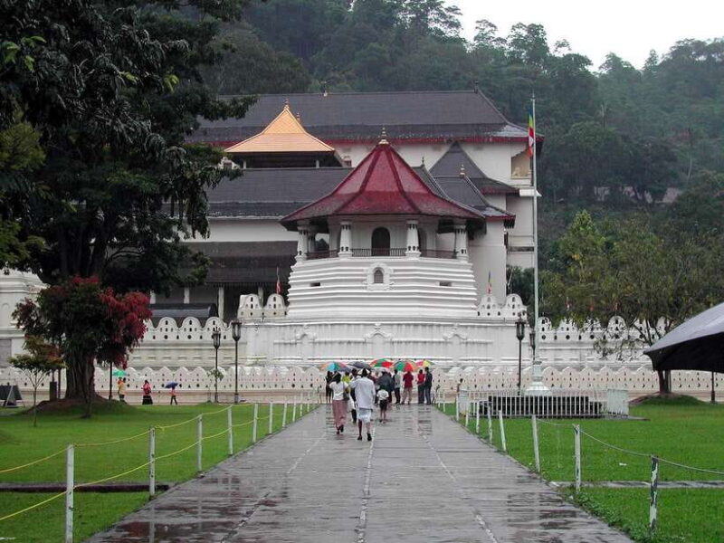 Kandy, Pinnawala Private Day Trip From The West Coast Beach - Who This Tour Is Best For