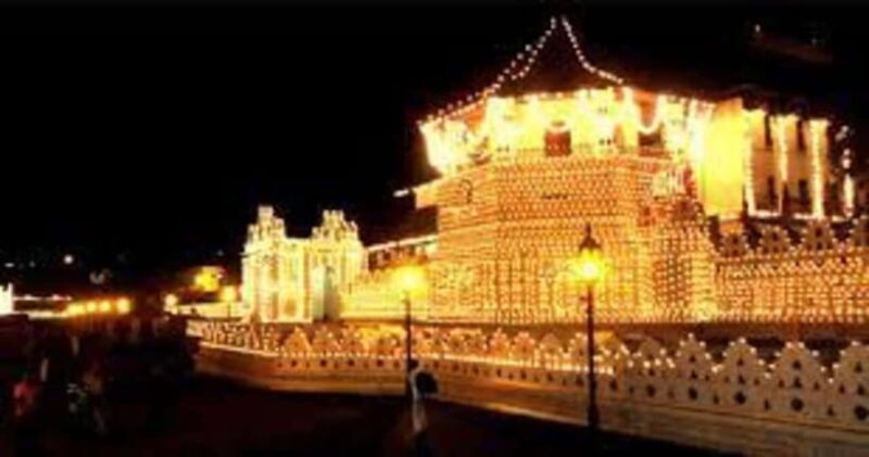 Kandy, Pinnawala & Tea Factory Full Day Tour From Colombo - Final Thoughts