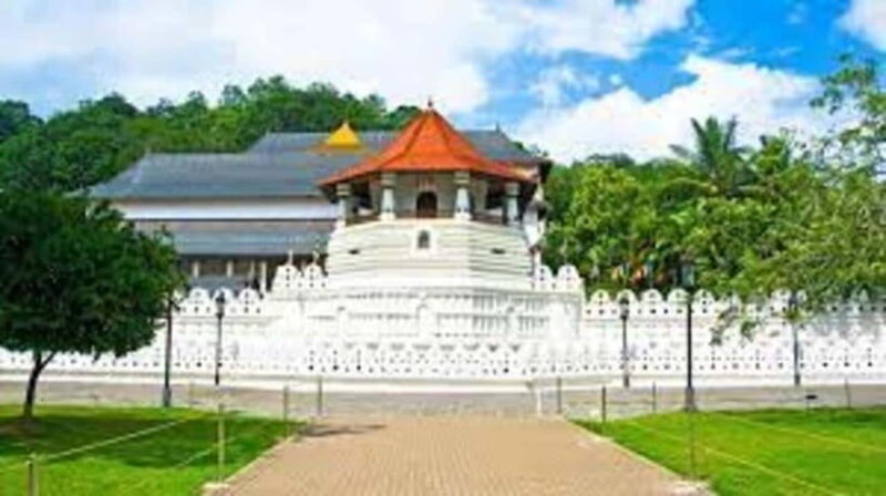Kandy & Pinnawala & Tea Factory Full Day Tour From Negombo - Expertise of guides and overall experience