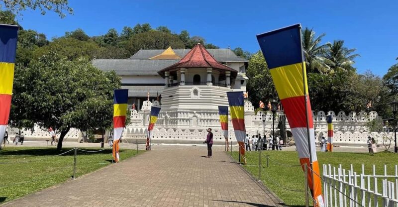 Kandy & Pinnawala & Tea Factory Full Day Tour From Negombo - Final thoughts