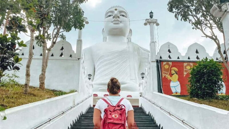 Kandy Private City Tour With Local Guide - Key Points