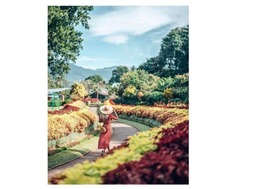 Kandy Private Guided City Day Tour by Local - Pricing and Value: Is It Worth It?