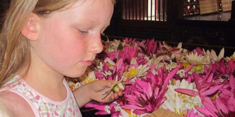 Kandy: Private Guided City Tours by Tuk Tuk Sightseeing Tour - The Cultural Finish: Kandy Cultural Show