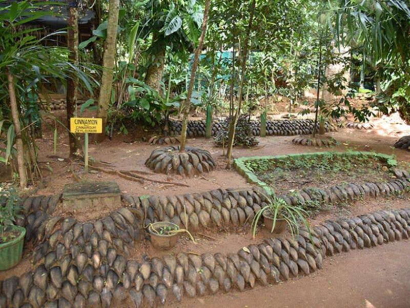 Kandy: Private Guided Tour of the City by Tuk-Tuk - Cultural and Handicraft Stops